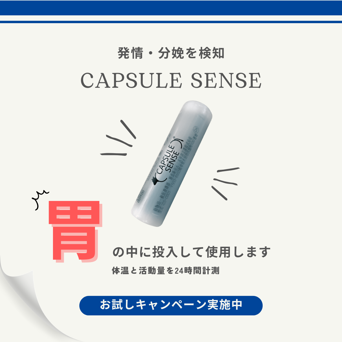 【儲かる経営とは】肉用牛の経営規模と効率性の関係 - 牛体調監視システム｜CAPSULE SENSE（カプセルセンス）｜太平洋工業